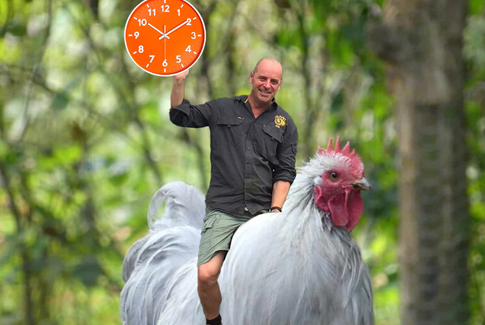 BAAG Trading Hours - Bulleen Art Garden