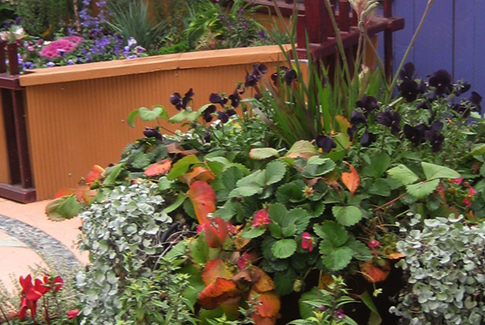 Edible Ornamental Gardens - Bulleen Art Garden