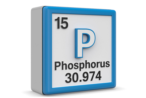 Phosphorus and Australian Native plants - Bulleen Art Garden