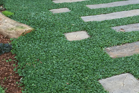 - Bulleen Art Garden
