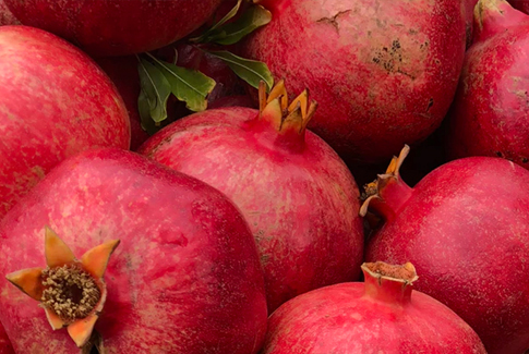 Pomegranate - Bulleen Art Garden